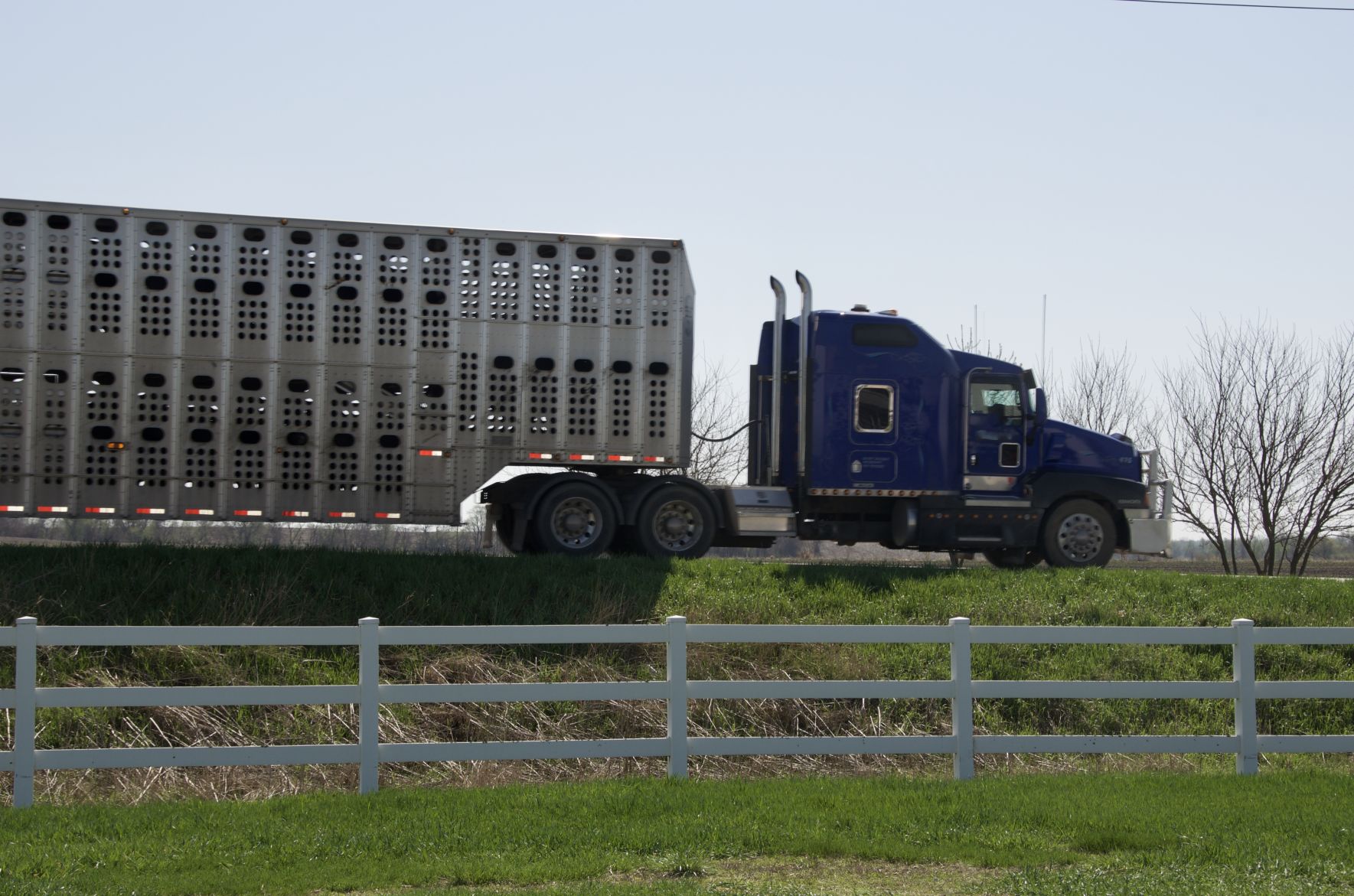Livestock Haulers May Receive Another Extension For ELD Rules High