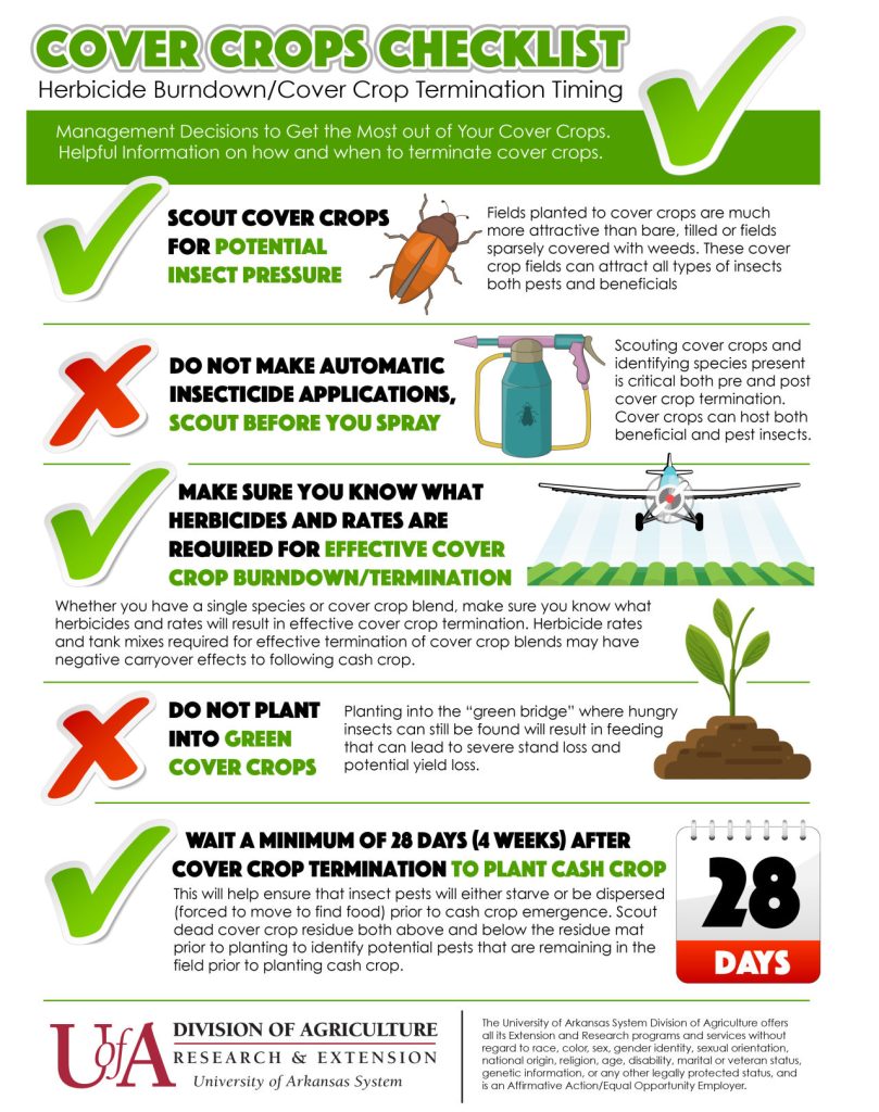 Division of Ag rolls out first of cover crop infographic series - High ...