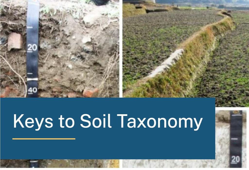 Keys to Soil Taxonomy, 13th Edition, is now available online - High ...