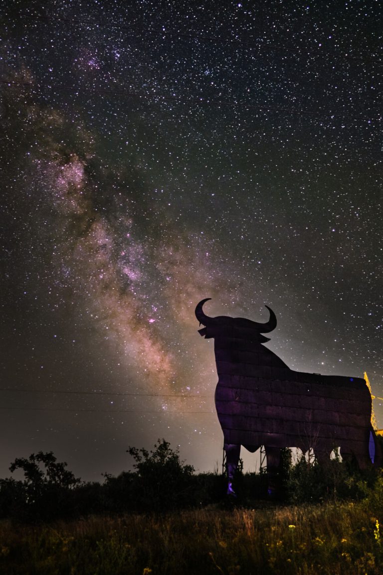 Mysterious mutilations: Who or what is killing these cattle? - High ...