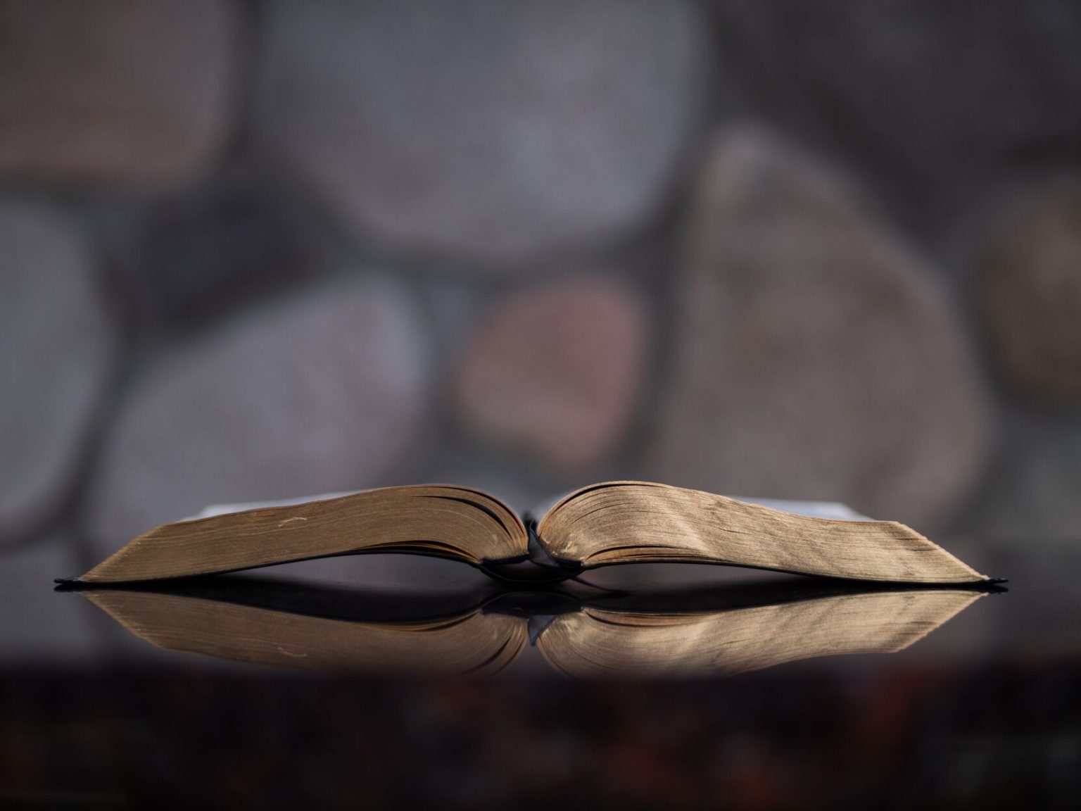 Meditation - High Plains Journal