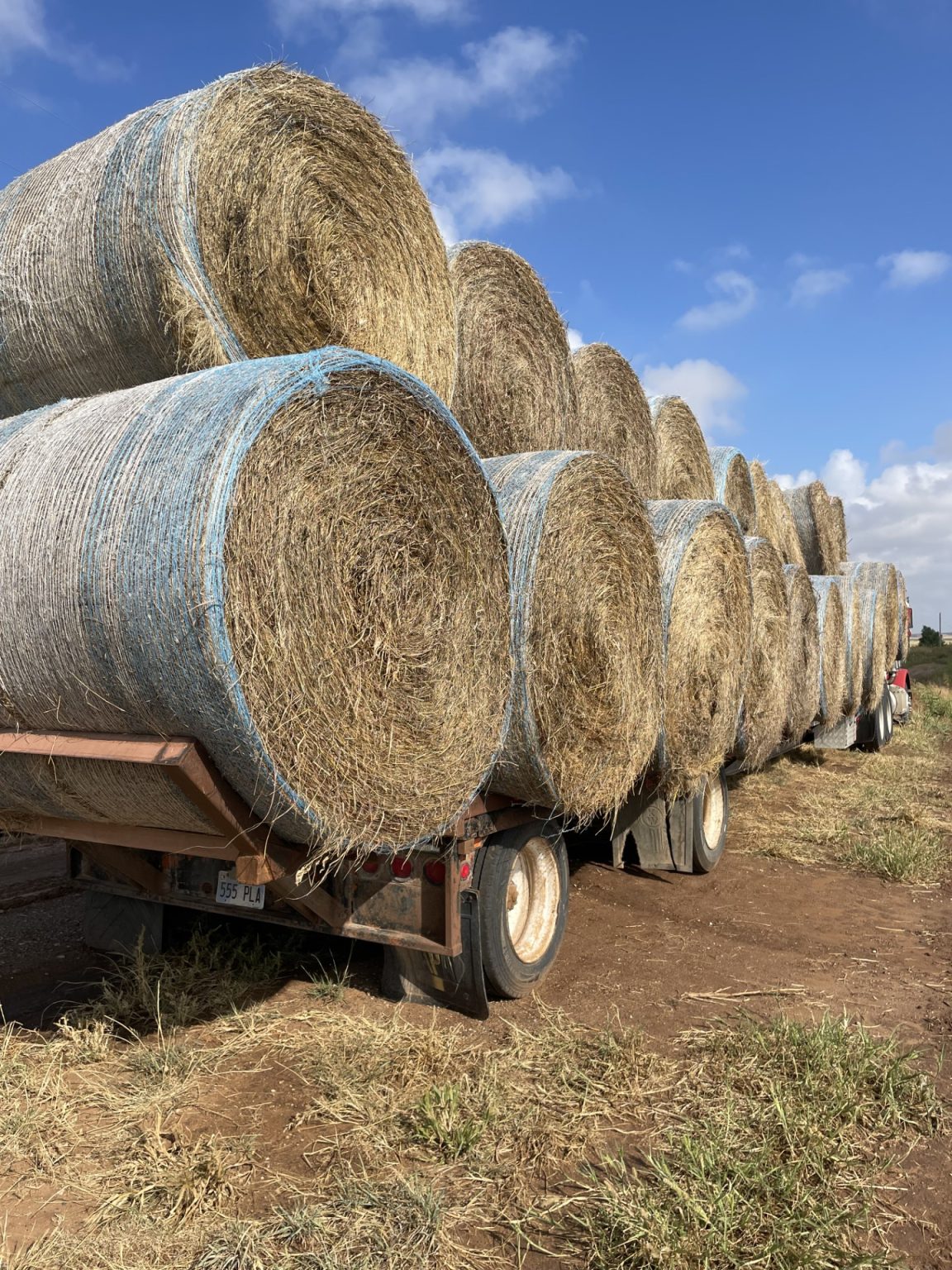 Estimating winter hay needs - High Plains Journal