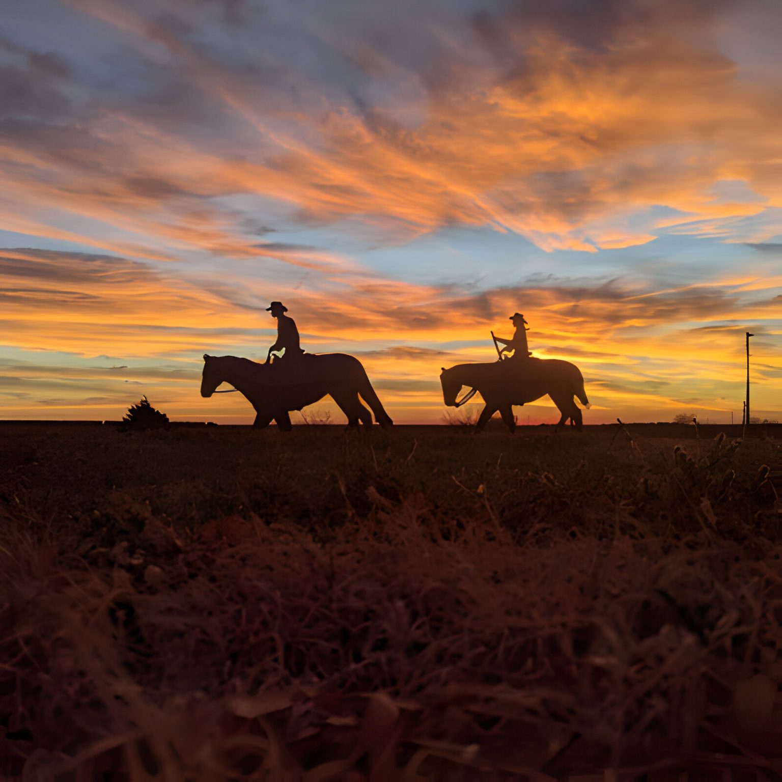 Trent Loos Rural Route Radio Podcast December 29, 2023 - High Plains ...
