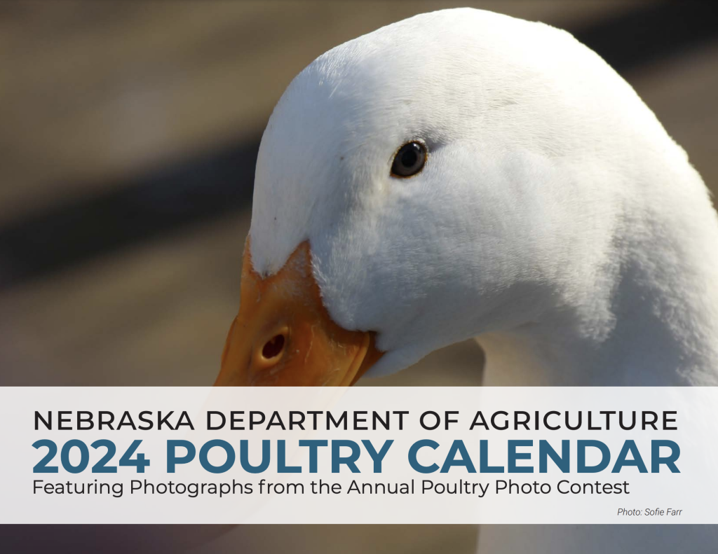 NDA announces winners in annual poultry photo contest - High Plains Journal