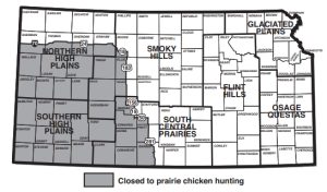 Hunting: 2023 Kansas Upland Bird Forecast - High Plains Journal