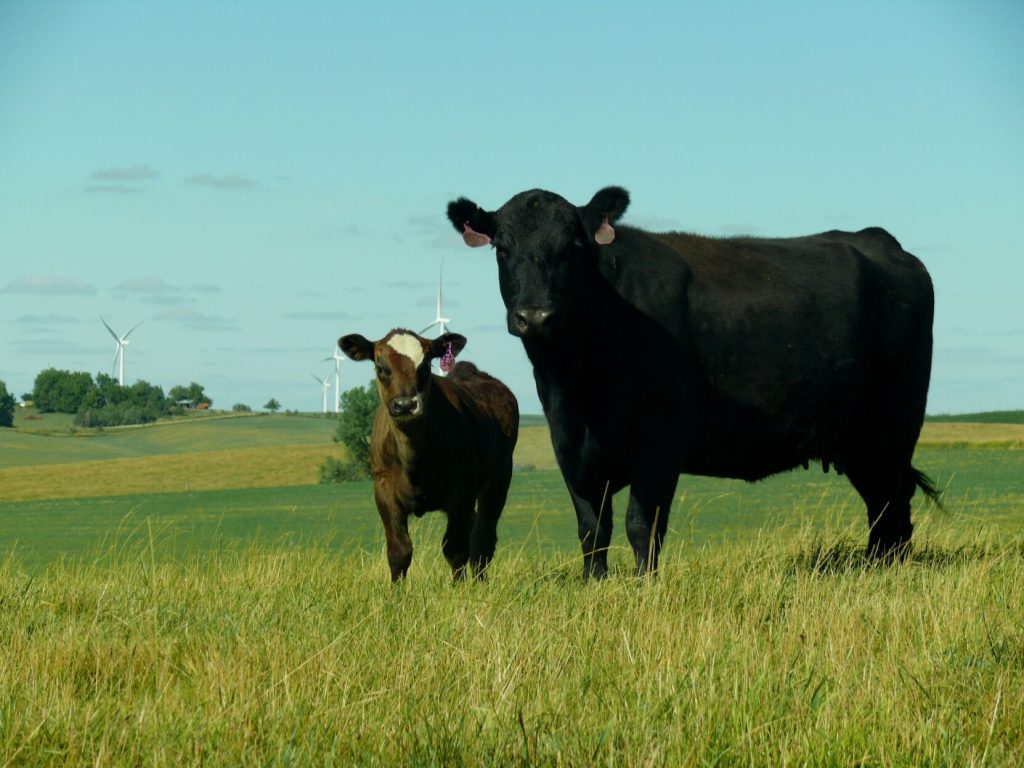 Home - High Plains Journal