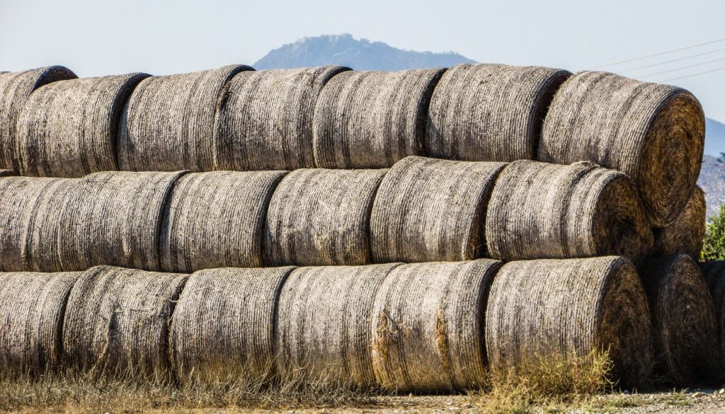 State-By-State Hay Markets - High Plains Journal