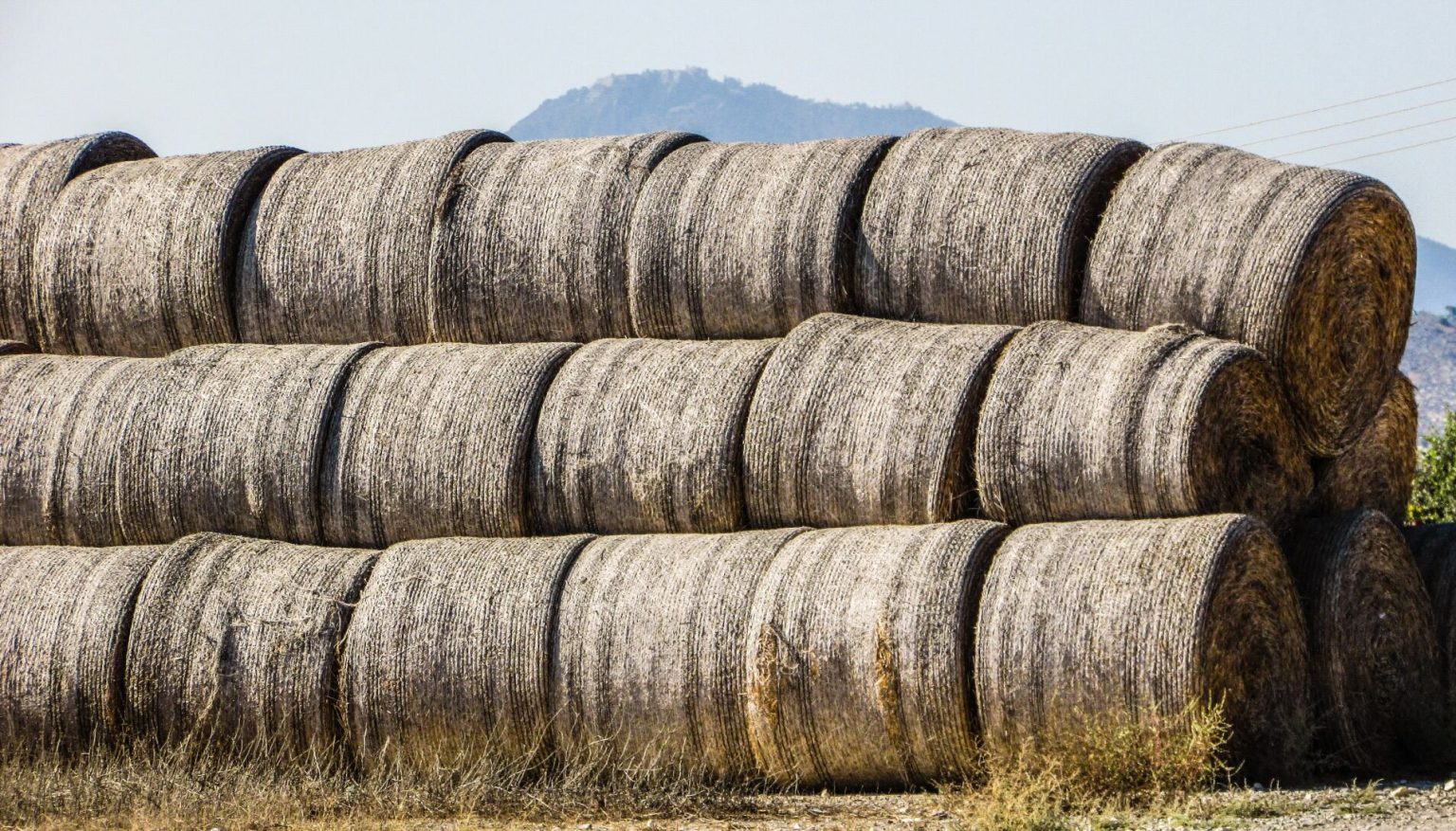 State-By-State Hay Markets - High Plains Journal