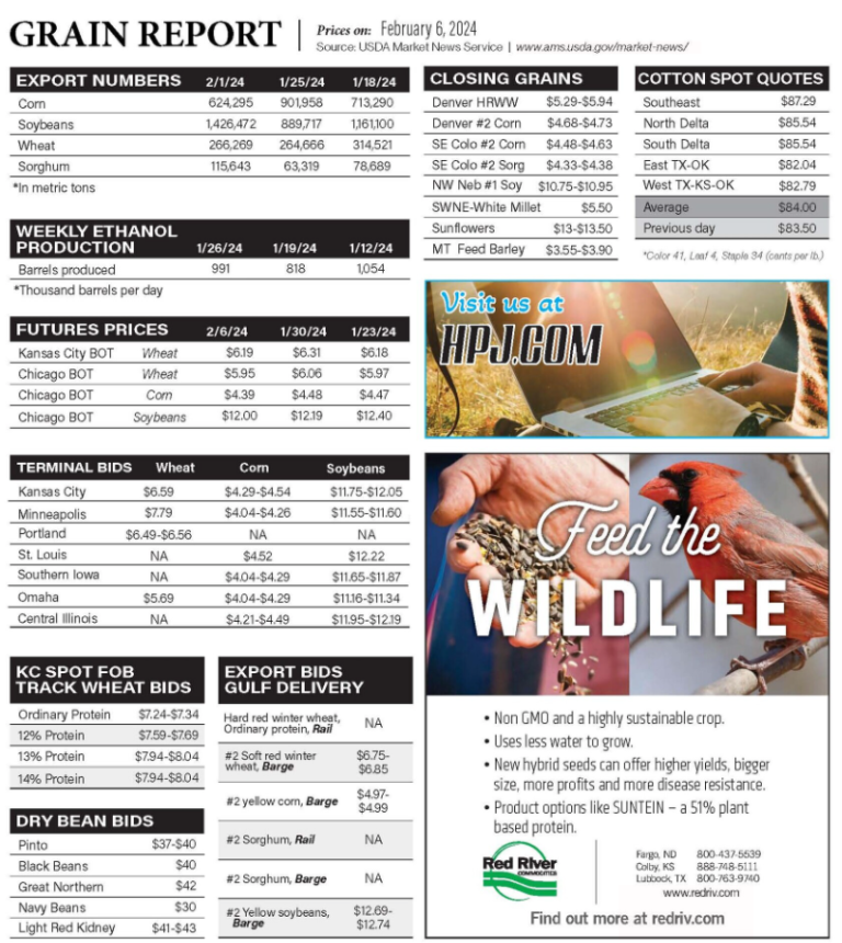 Grain Report February 6, 2024 - High Plains Journal