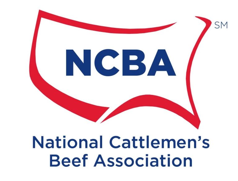 Kansas singer wins NCBA contest - High Plains Journal