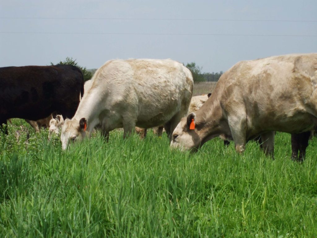 Home - High Plains Journal