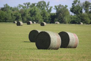 State-By-State Hay Markets - High Plains Journal