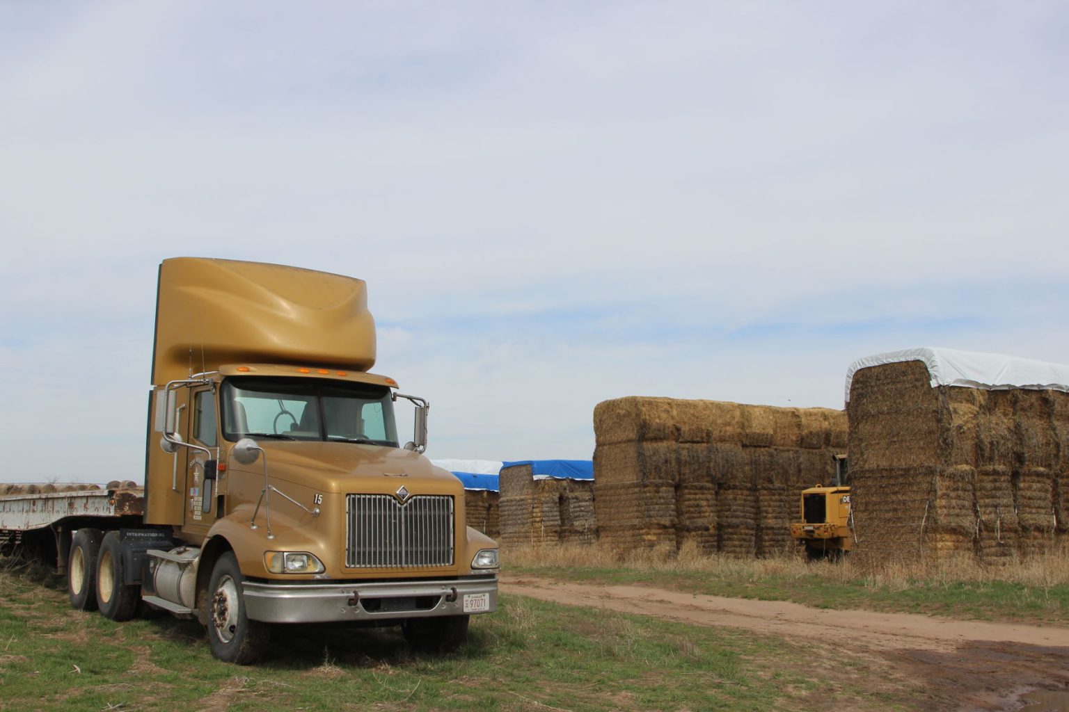 State-By-State Hay Markets - High Plains Journal