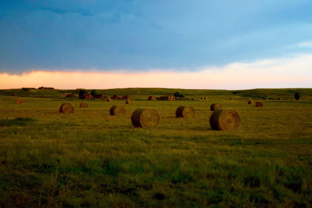 Area Hay Prices - High Plains Journal