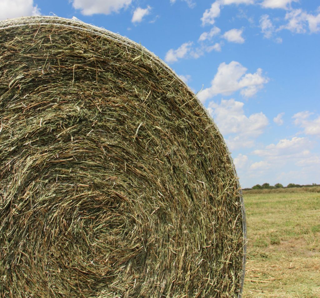 Area Hay Prices July 19, 2025 - High Plains Journal