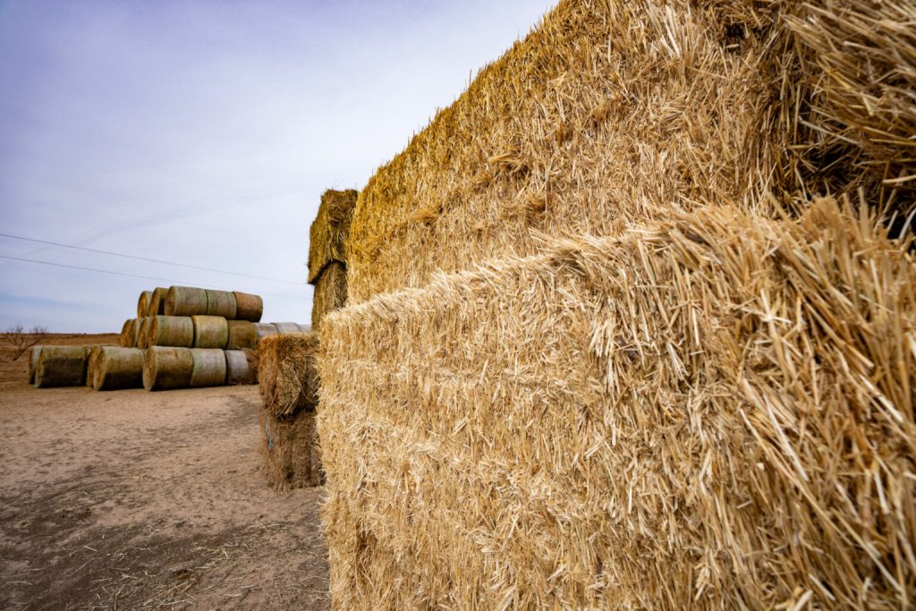 State-By-State Hay Markets - High Plains Journal