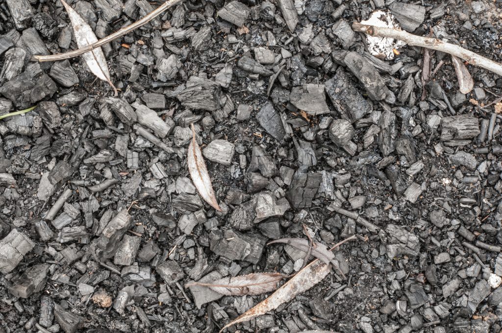 Application of biochar in agricultural systems - High Plains Journal