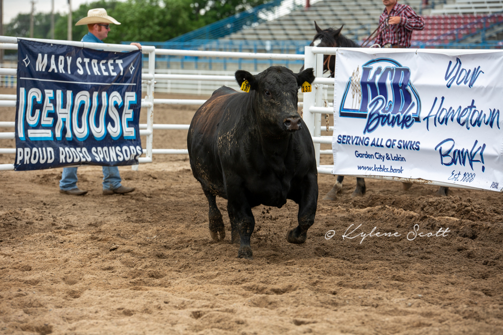 - High Plains Journal