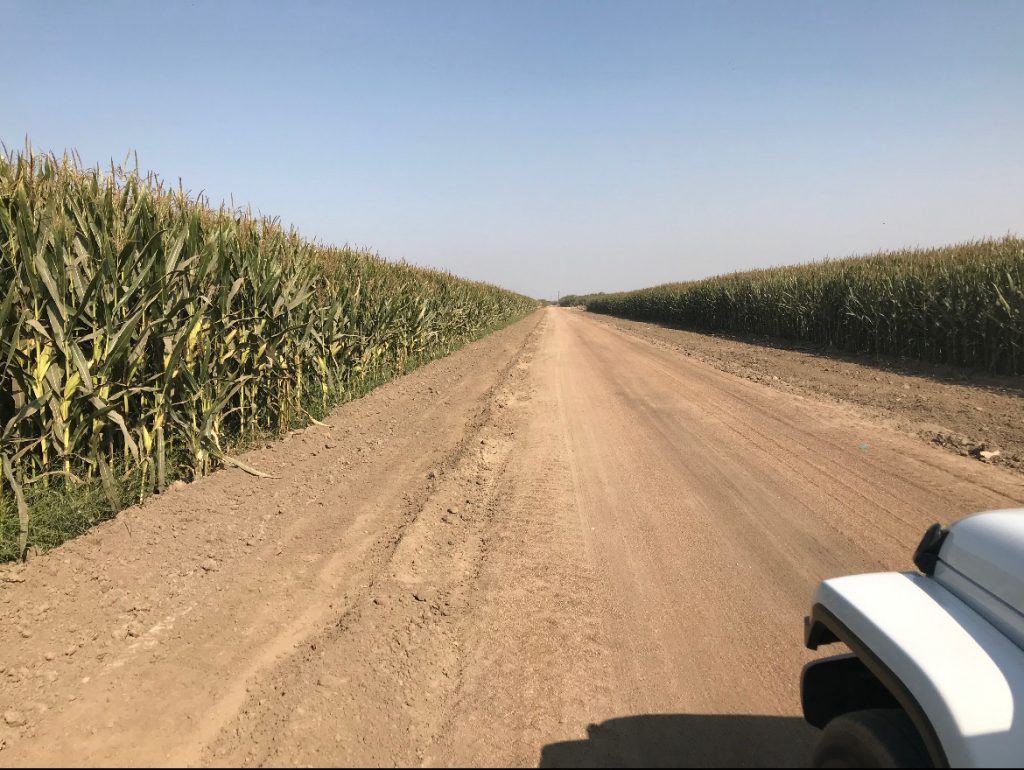 Pro-Seed USA is a game changer for growers - High Plains Journal