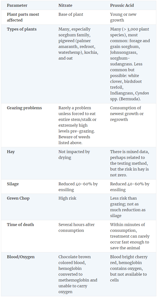 Test forages to prevent nitrate and prussic acid poisoning - High ...