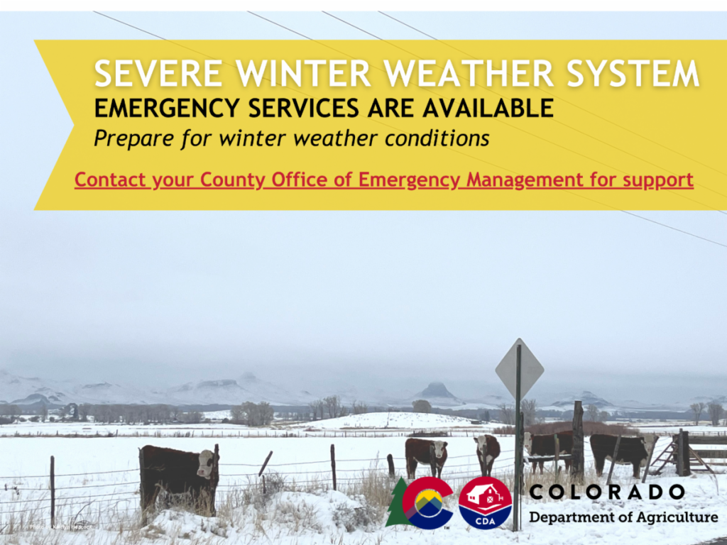 Emergency winter weather livestock care important as Colorado storm ...