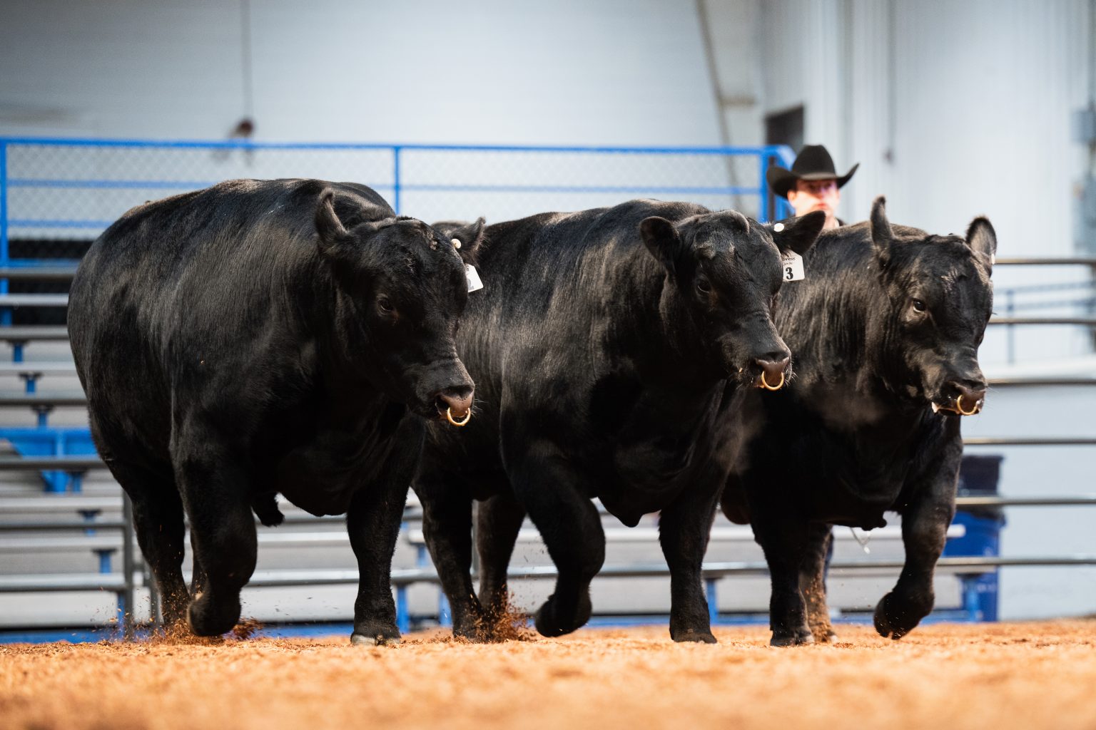 A record-breaking year for Cattlemen’s Congress - High Plains Journal