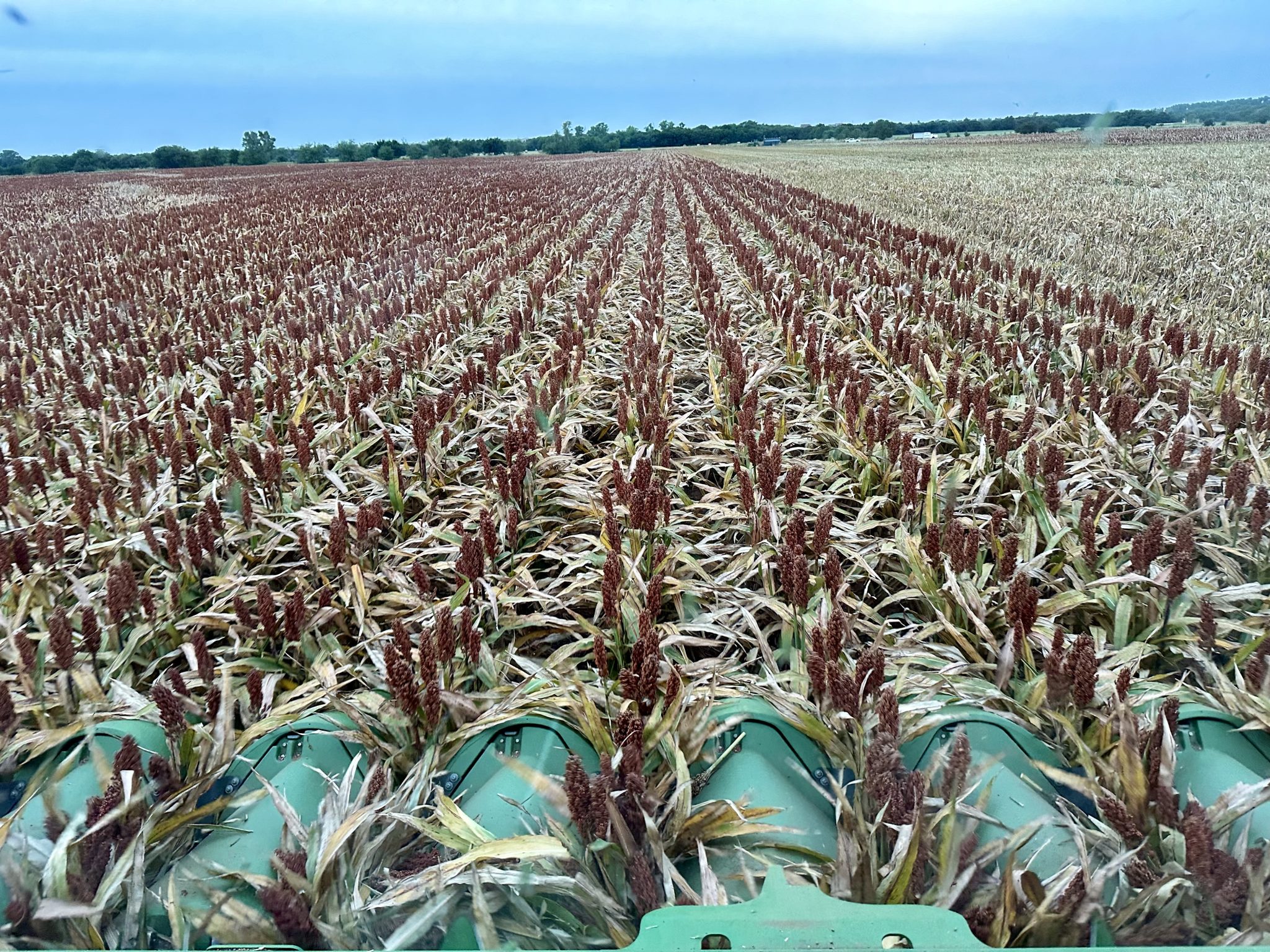 Home - High Plains Journal