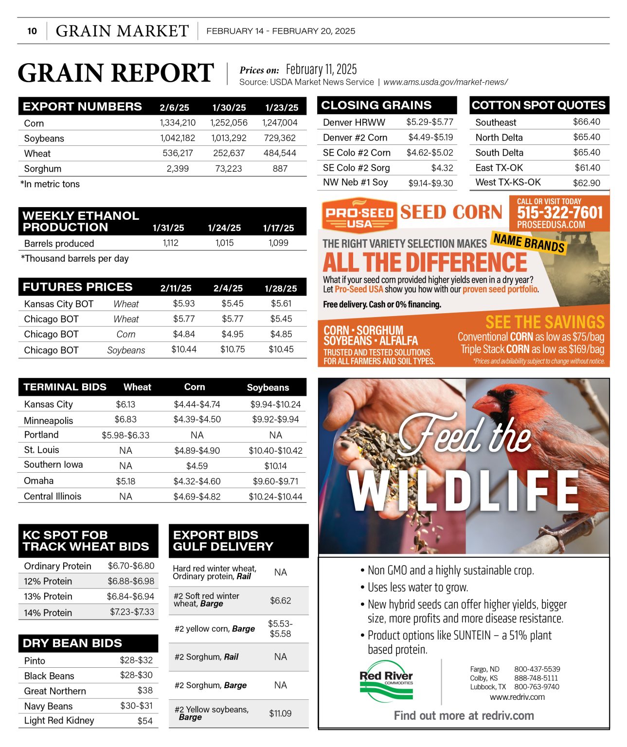 Grain Report February 11 2025 - High Plains Journal