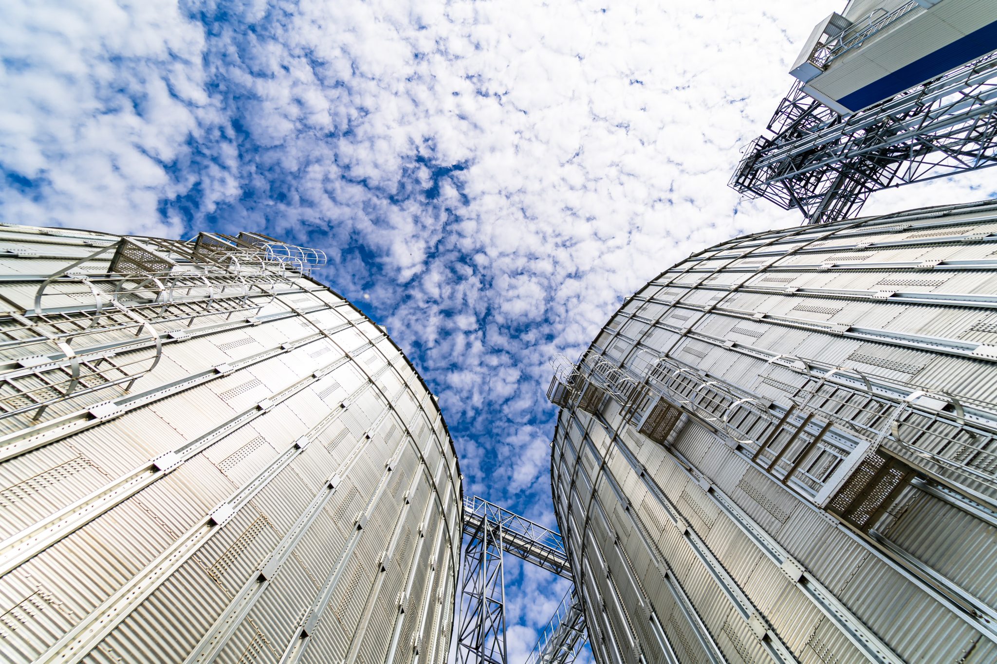 Grain Report July 8 2025 - High Plains Journal