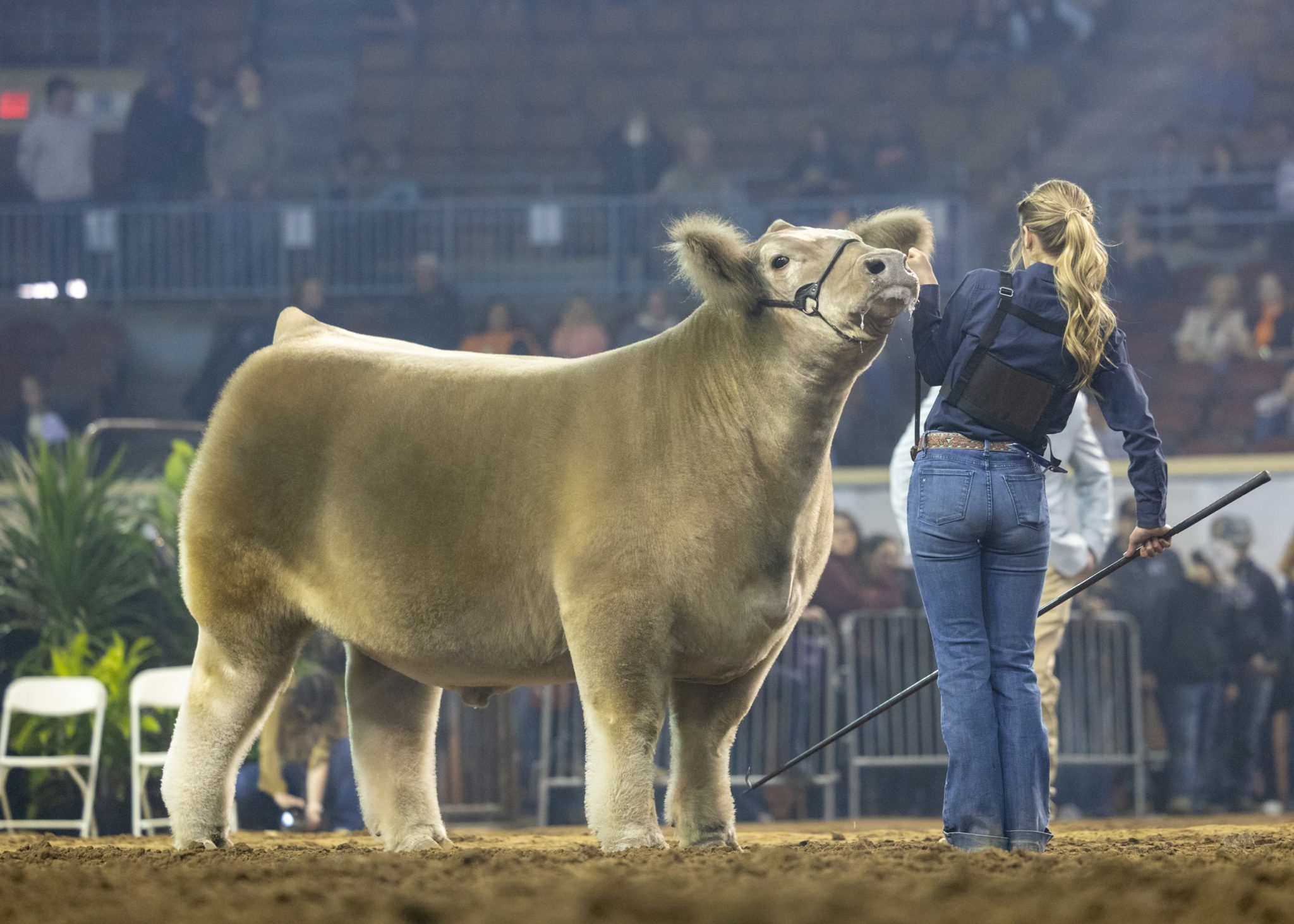 A farewell to Oklahoma’s Jim Norick Arena - High Plains Journal