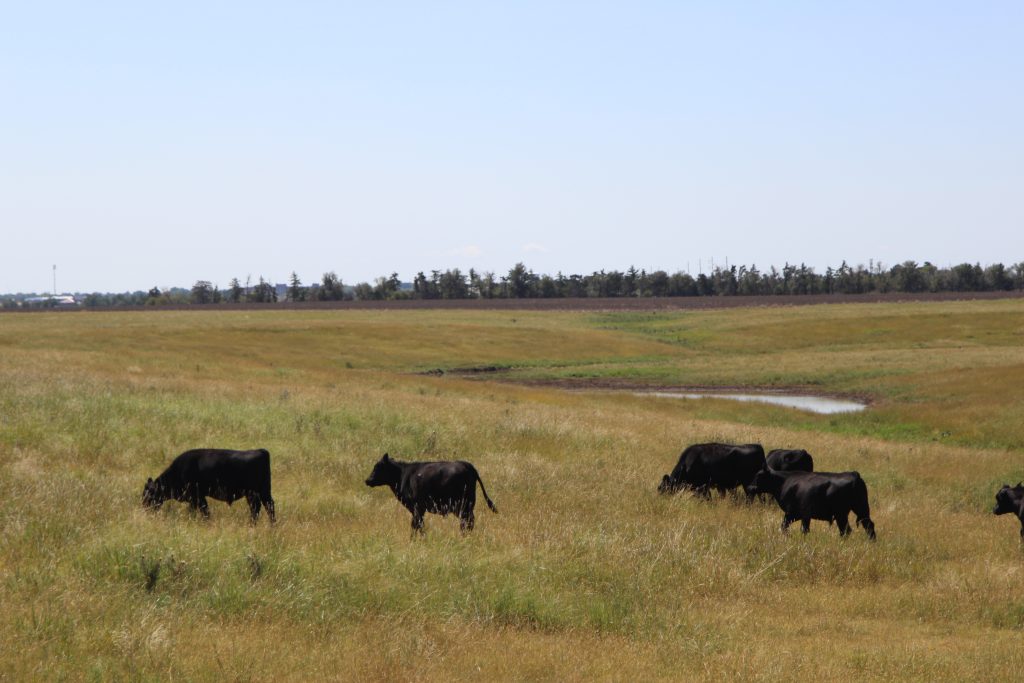 Home - High Plains Journal