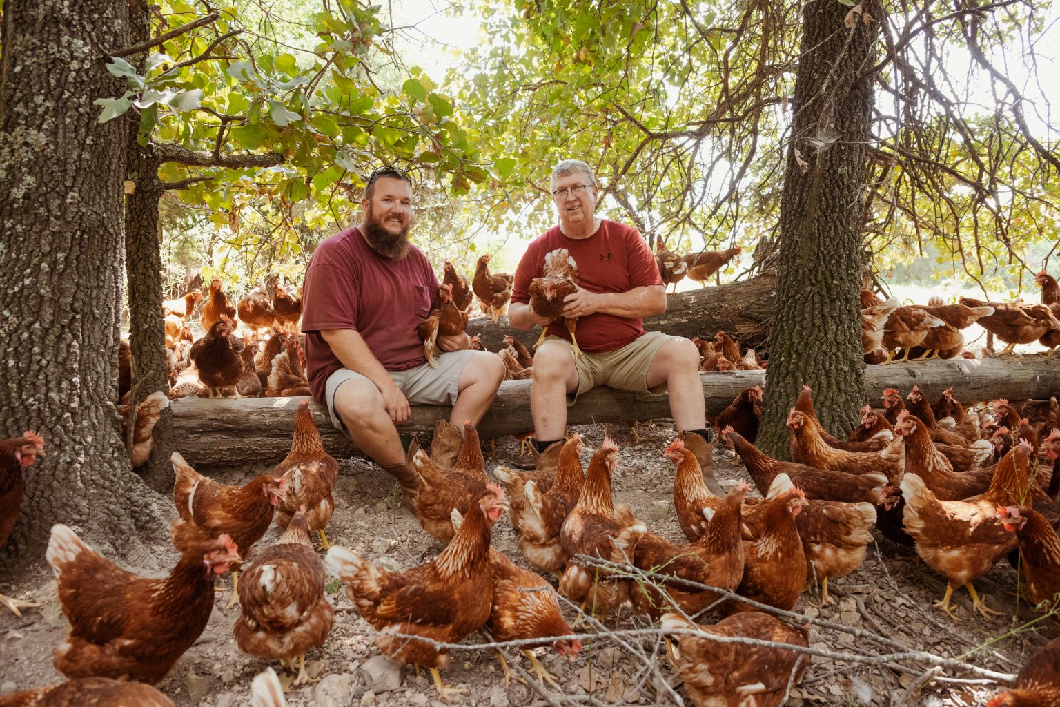 A good egg: Pasture-raised egg farms connect with consumers - High ...