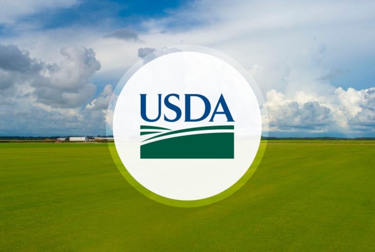 USDA announces $100 million New World Screwworm Grand Challenge - High ...