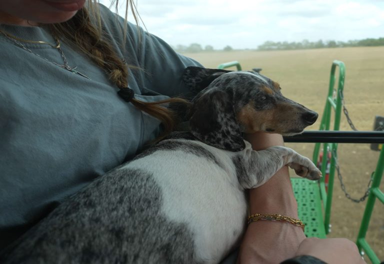 Hayden On Harvest Archives - High Plains Journal