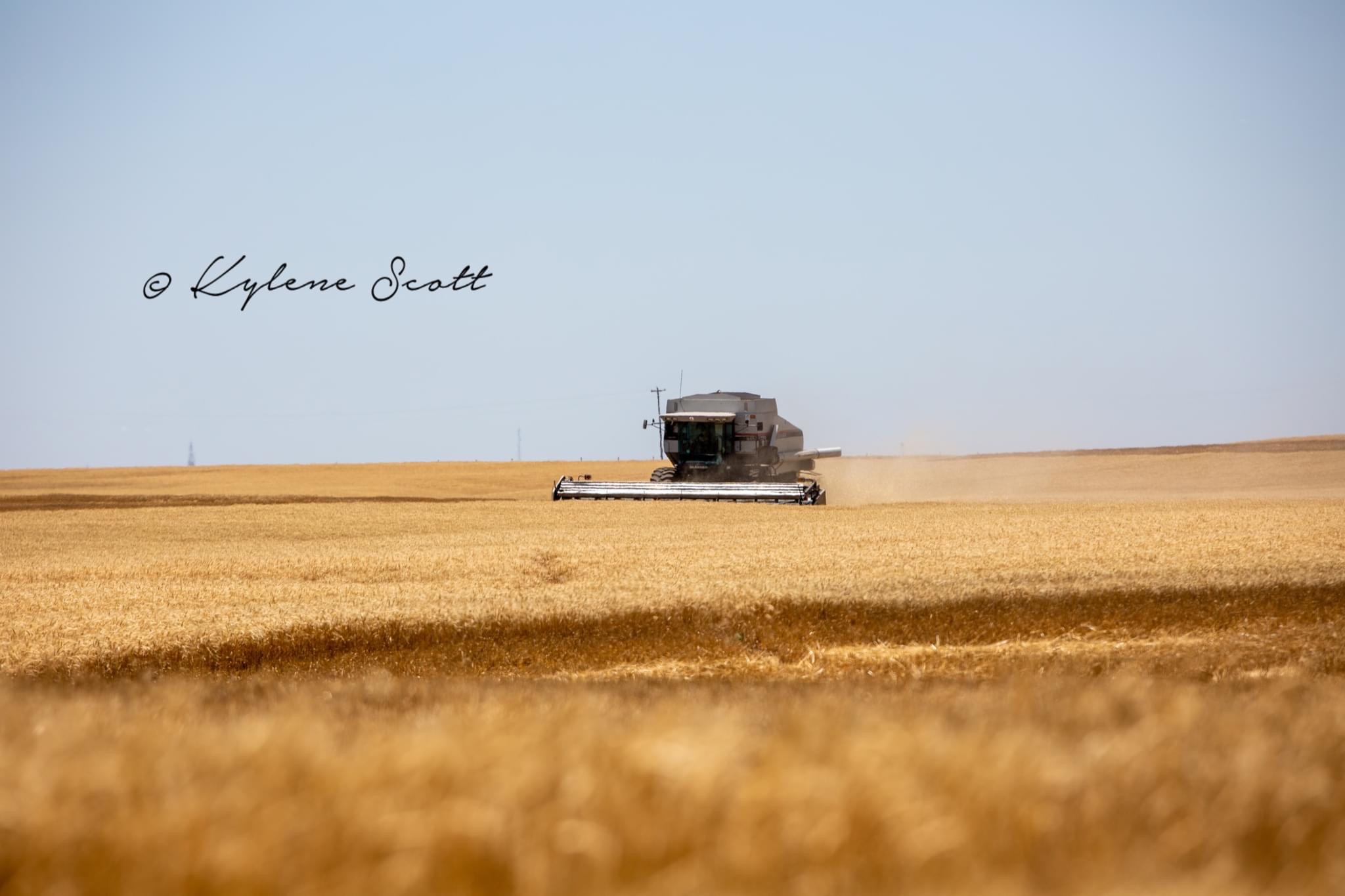 Is your profession heavy on the soul? - High Plains Journal