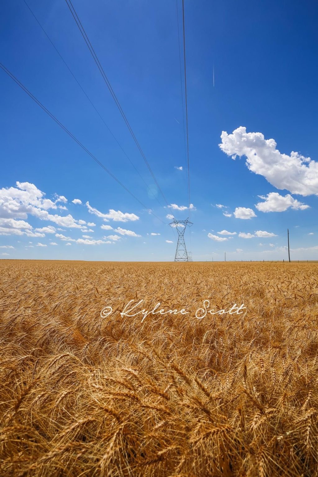 Is your profession heavy on the soul? - High Plains Journal