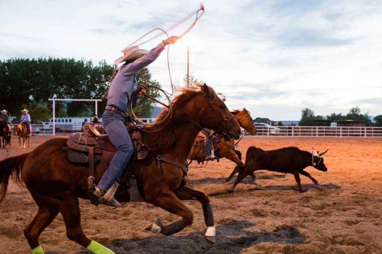 OSU sent two to college finals rodeo - High Plains Journal