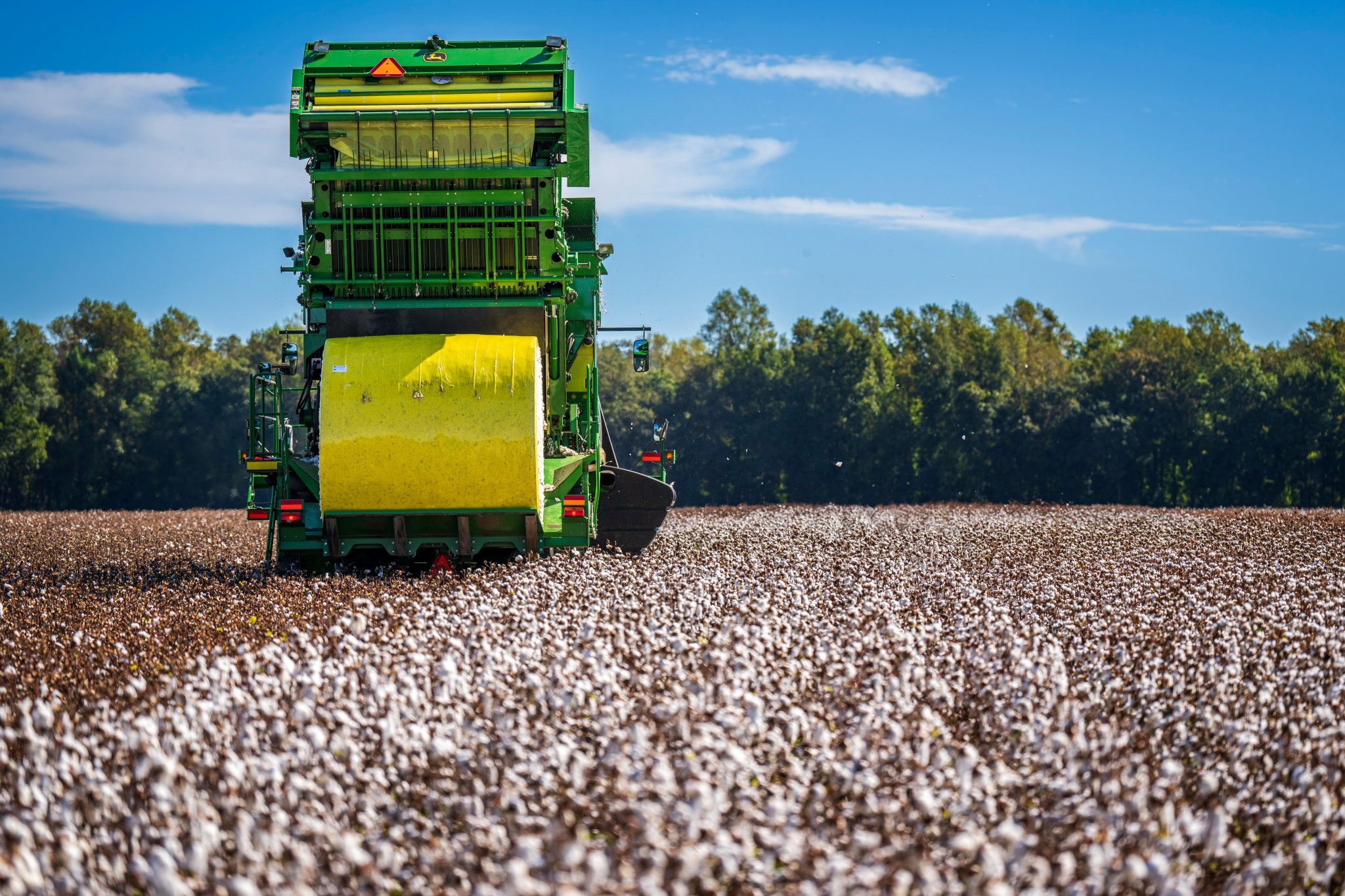 Cotton prices: Where are they headed? - High Plains Journal