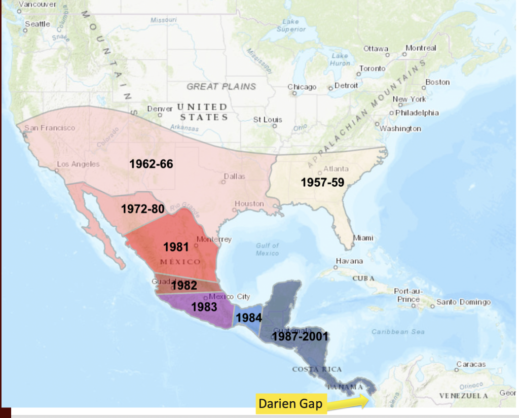 What is New World screwworm, and why are they dangerous? - High Plains ...