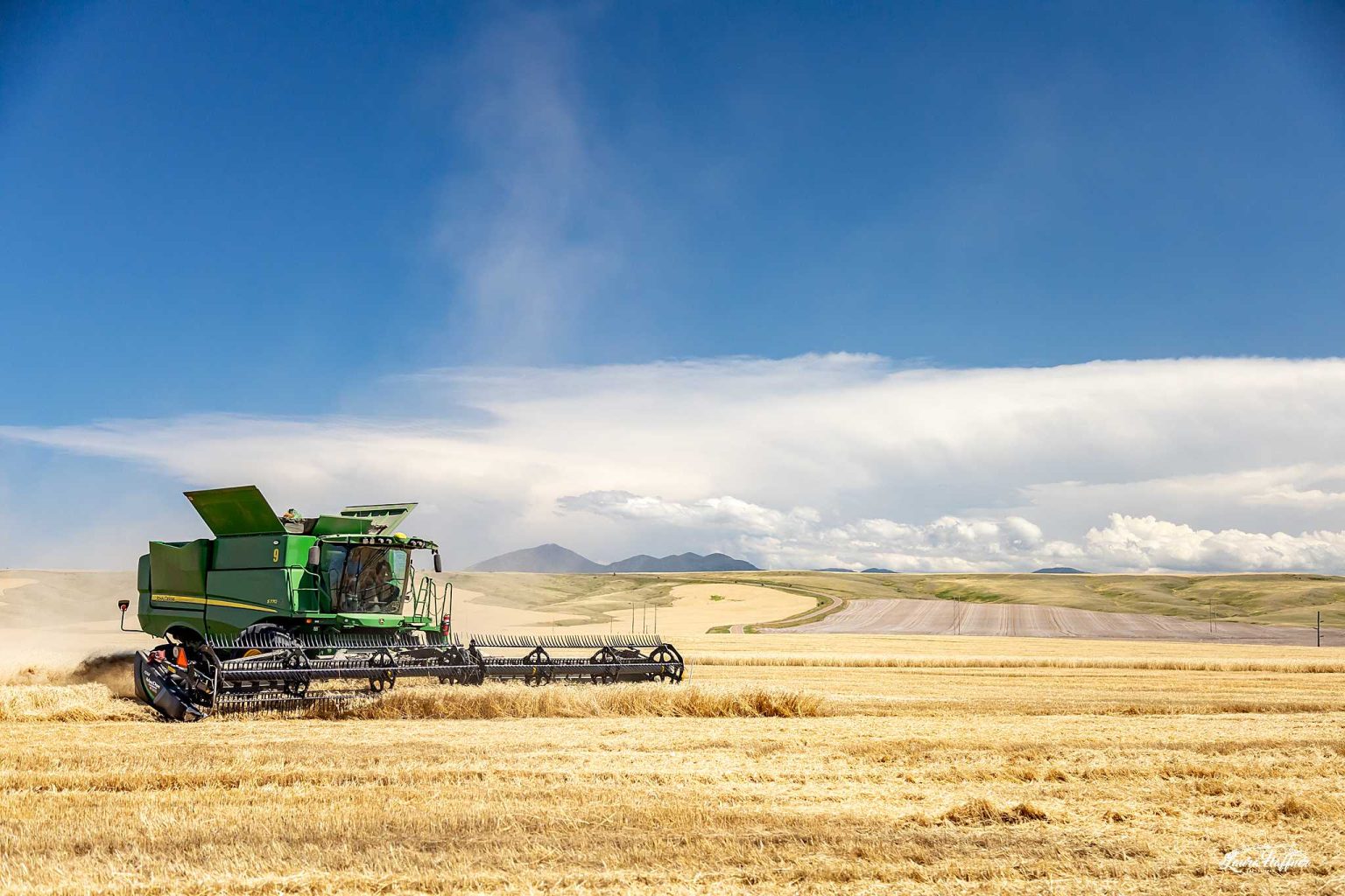 Laura: Golden Triangle - High Plains Journal