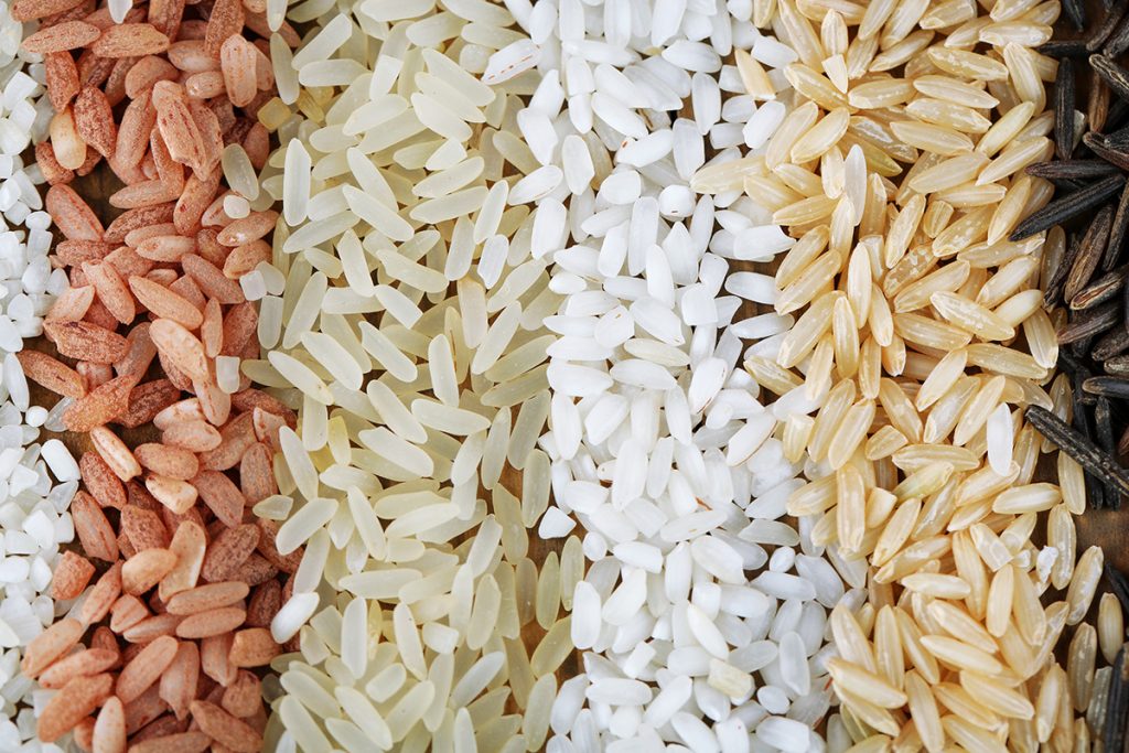 Types of rice: What you need to know - High Plains Journal
