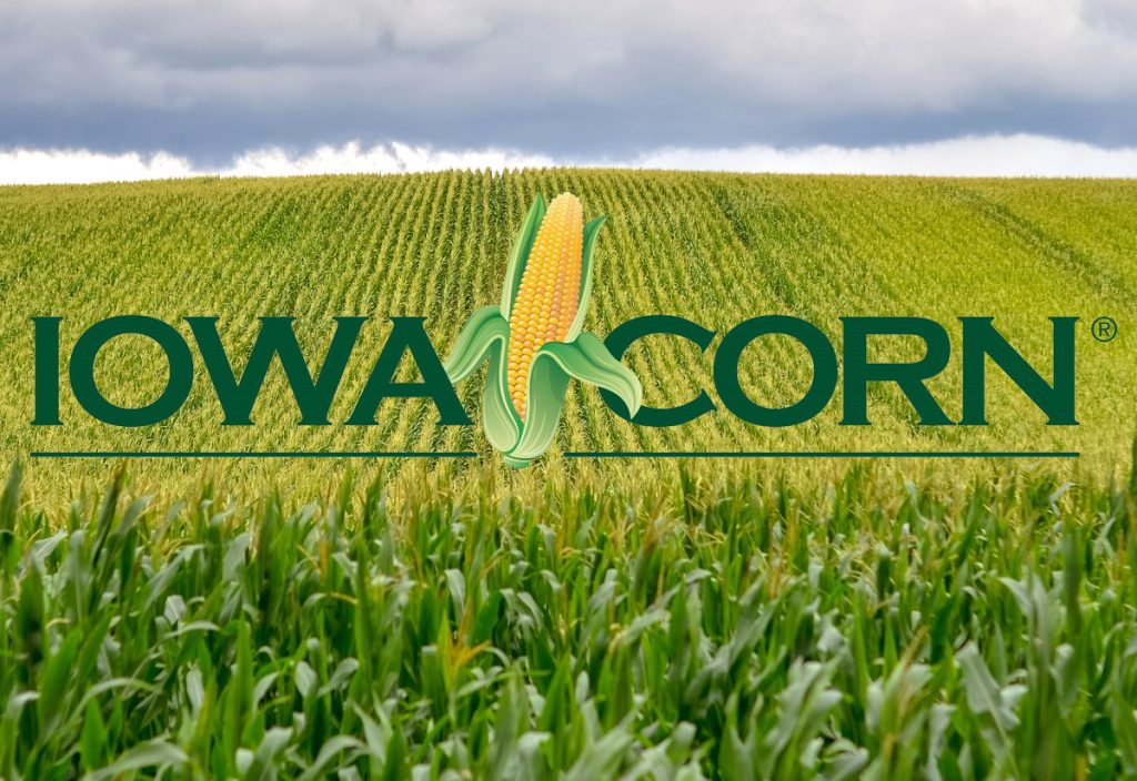 Iowa Corn farmers recognized at state fair - High Plains Journal