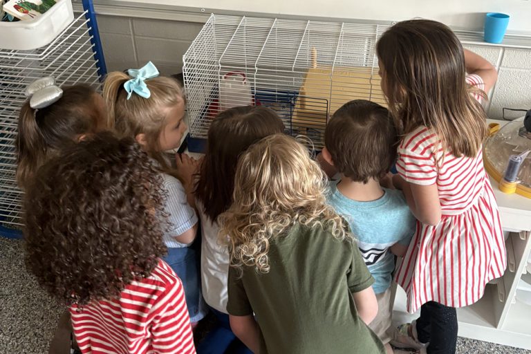 Hatching chicks in the classroom with Missouri 4-H - High Plains Journal