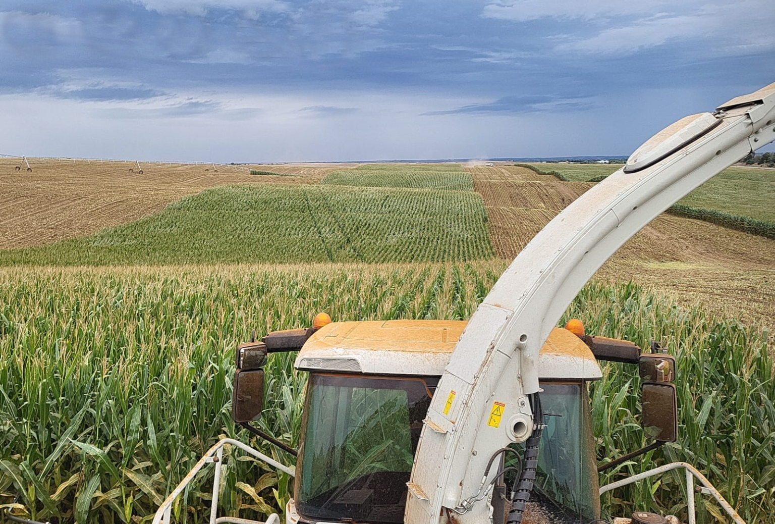 AAFH Ask the Harvester: Matt Forge, Forge Harvesting - High Plains Journal