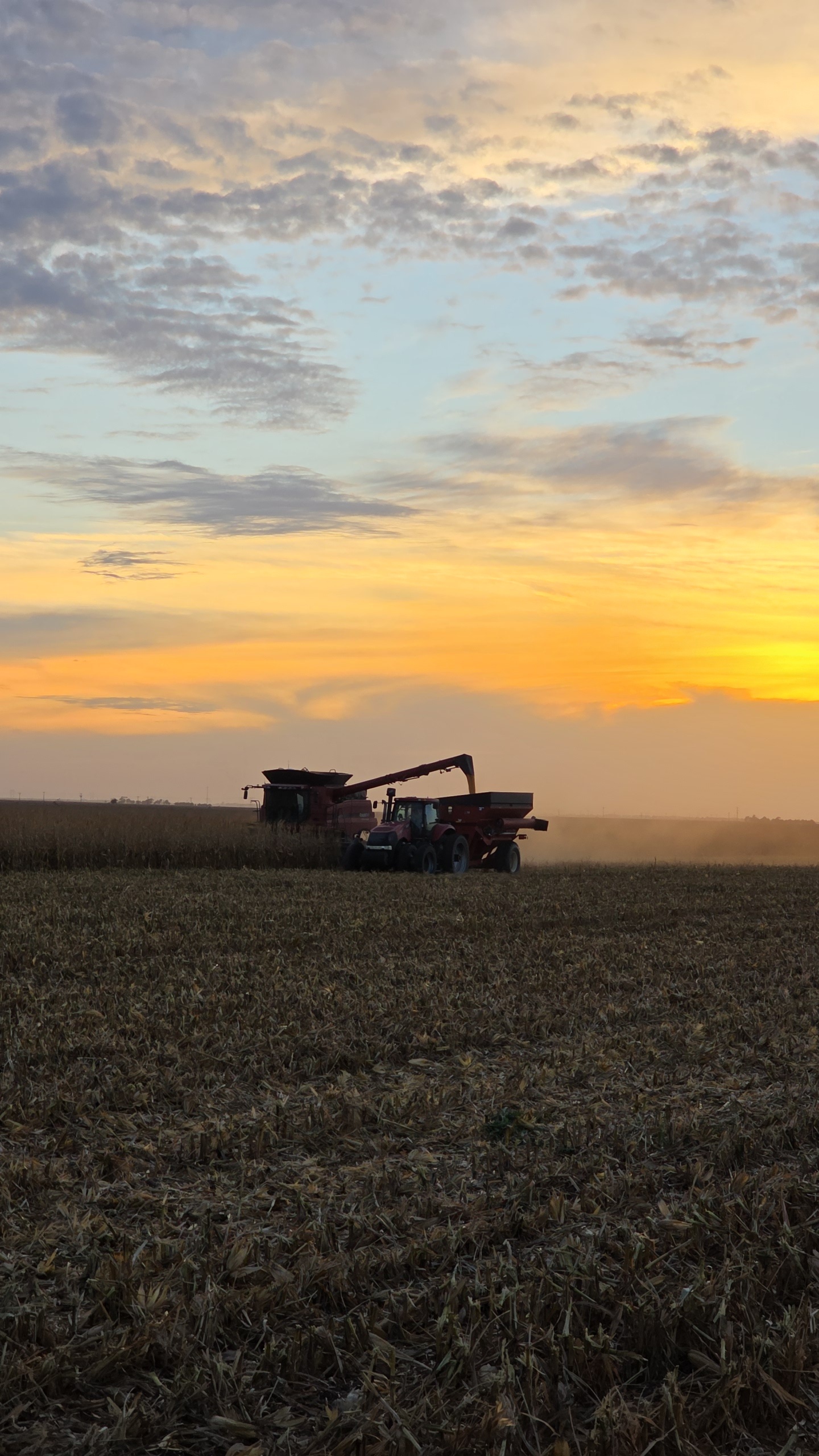 Ask the Harvester: Jessica Brophy - High Plains Journal