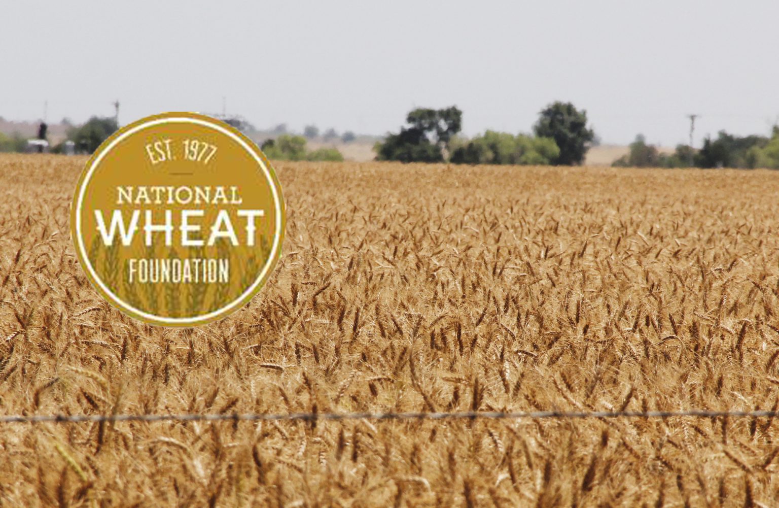 Top wheat growers recognized by National Wheat Foundation - High Plains ...