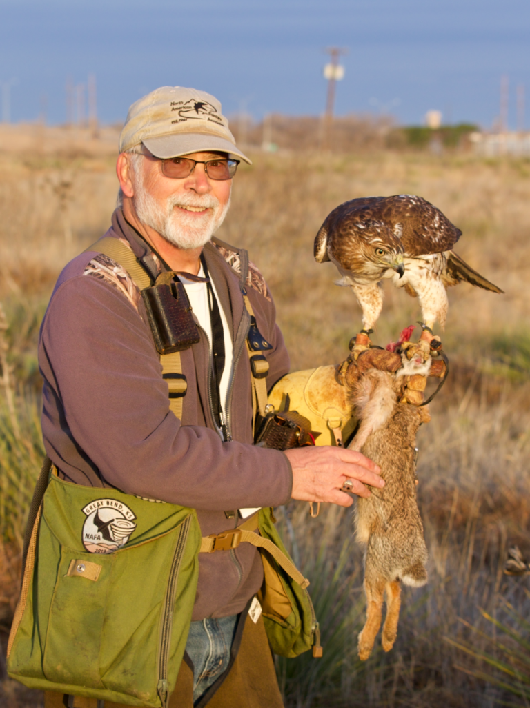 Falconry: An age-old sport that continues to endure - High Plains Journal