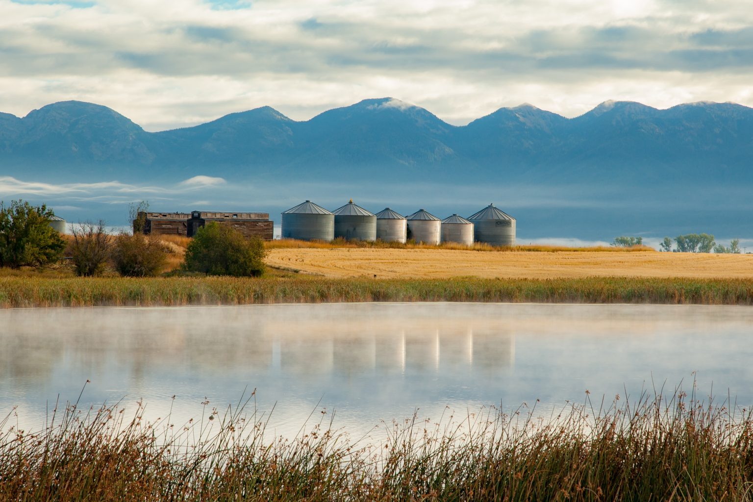 Grain Report - High Plains Journal