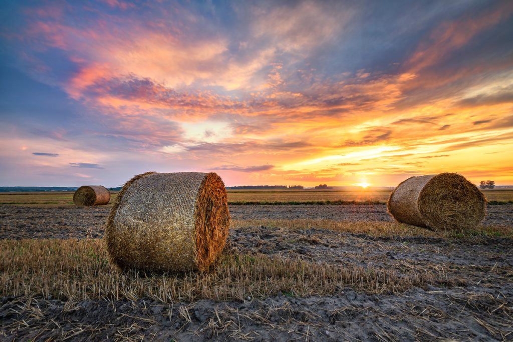 Three ways to be more profitable making hay - High Plains Journal