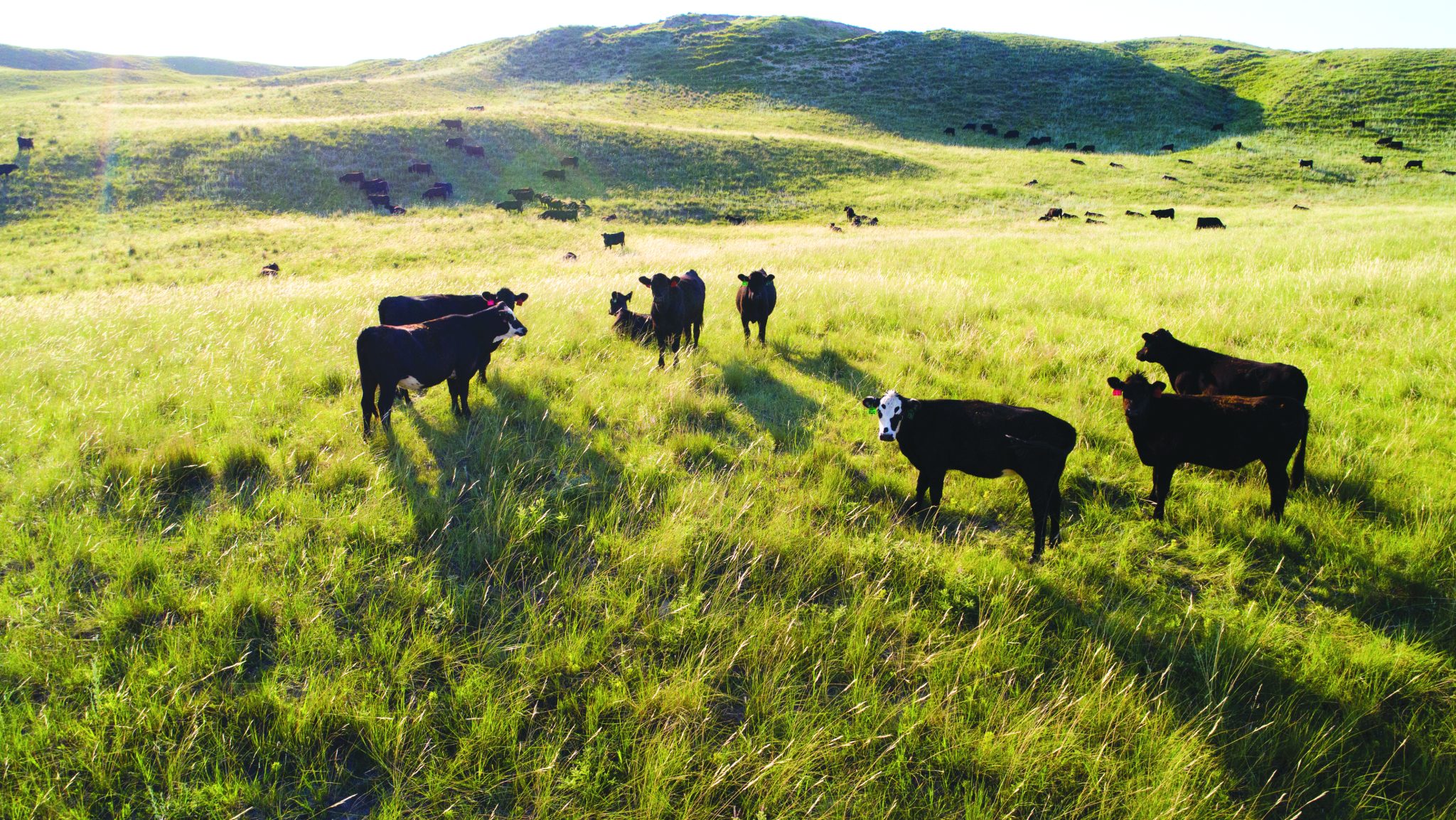 Registration open for the 2026 BIF Symposium and Convention in Boise ...
